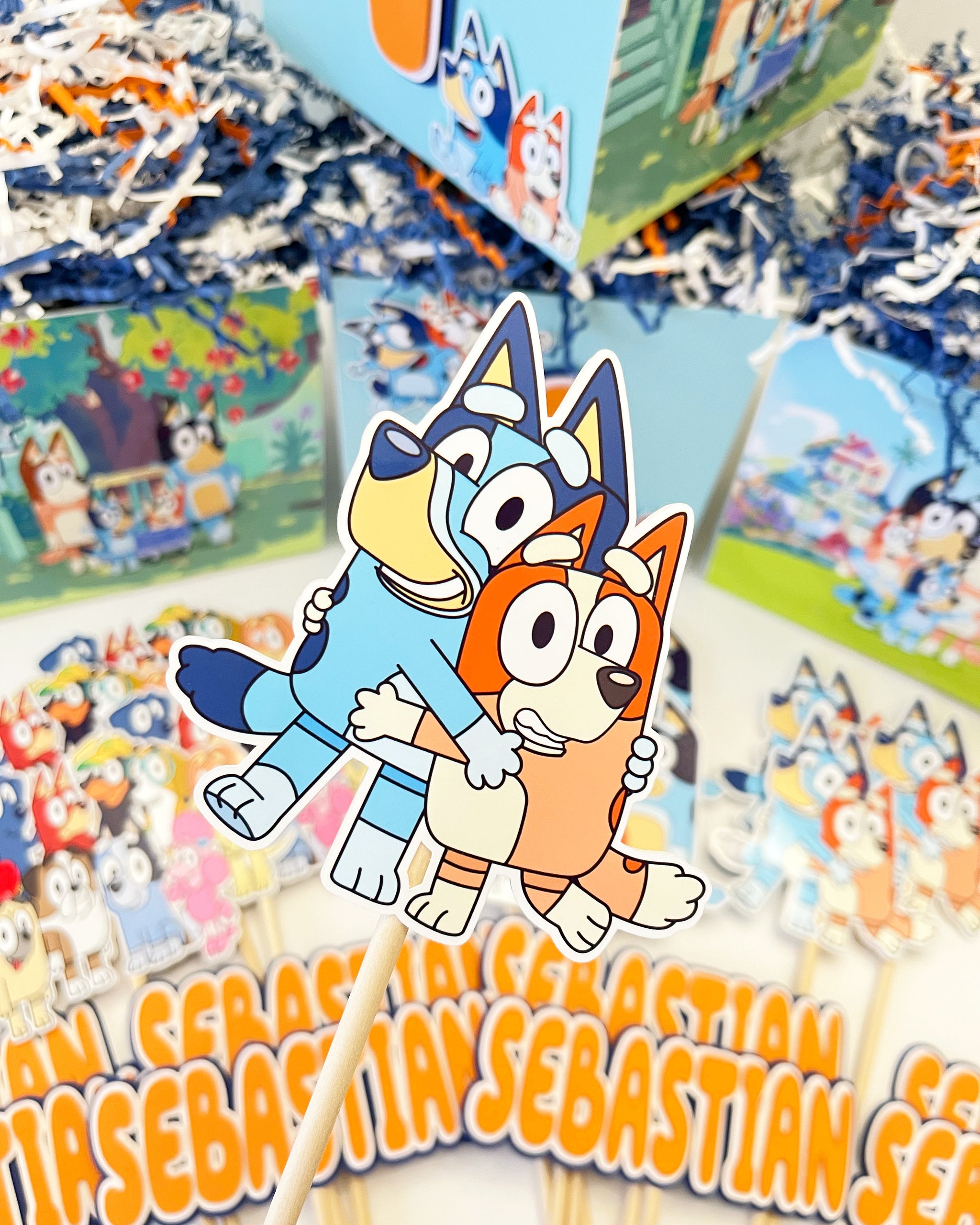 Bluey themed Party Decorations – Dae2Dae Events